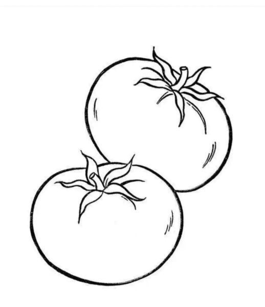 水果蔬菜简笔画怎么画_水果蔬菜简笔画教程-第2张图片-山城妙识 水果蔬菜简笔画怎么画_水果蔬菜简笔画教程-第2张图片-山城妙识