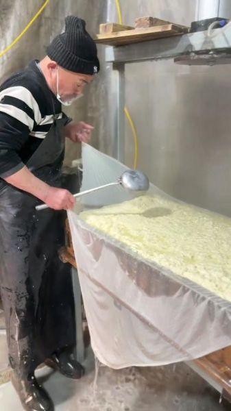 卤水点豆腐比例是多少_卤水点豆腐技巧-第2张图片-山城妙识