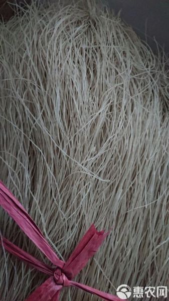 木薯粉条怎么煮不糊_木薯粉条热量高吗-第2张图片-山城妙识