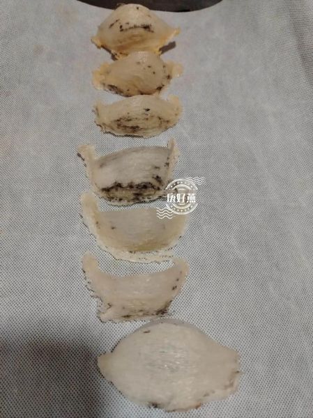 燕窝是燕子的窝吗_燕窝到底是什么做的-第3张图片-山城妙识