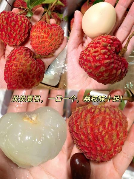 荔枝王图片_荔枝王和普通荔枝区别-第2张图片-山城妙识