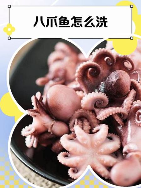 小八爪鱼怎么处理_小八爪鱼怎么清洗-第2张图片-山城妙识