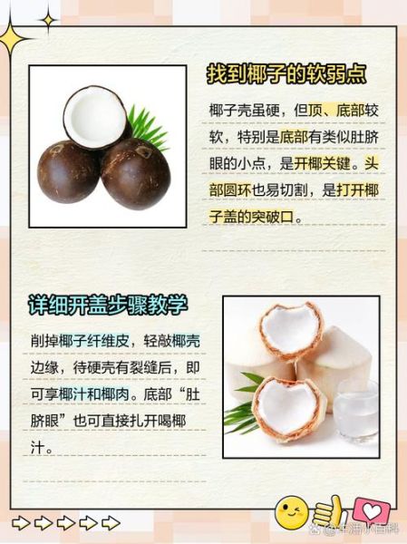 椰子怎么打开_椰子打开技巧-第3张图片-山城妙识 椰子怎么打开_椰子打开技巧-第3张图片-山城妙识