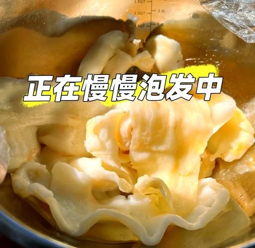 油发鱼肚怎么发_油发鱼肚的正确方法-第1张图片-山城妙识 油发鱼肚怎么发_油发鱼肚的正确方法-第1张图片-山城妙识