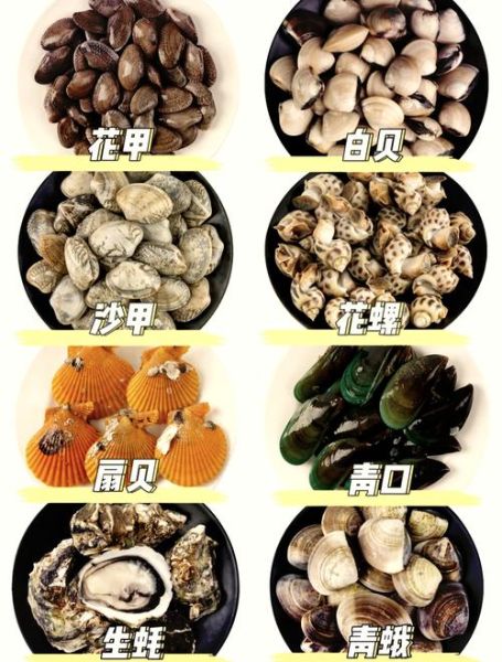 文蛤和花蛤的区别_哪个更鲜-第1张图片-山城妙识