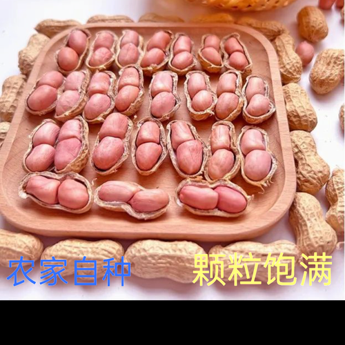 河南花生价格走势_2024年河南花生行情预测-第3张图片-山城妙识