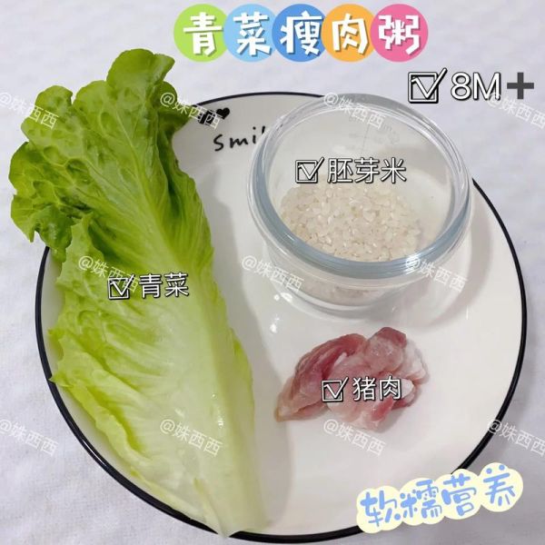 青菜瘦肉粥怎么做_青菜瘦肉粥怎么煮才嫩-第3张图片-山城妙识