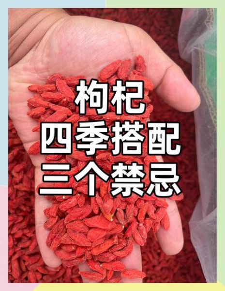 枸杞怎么吃最好_枸杞一天吃多少粒合适-第2张图片-山城妙识 枸杞怎么吃最好_枸杞一天吃多少粒合适-第2张图片-山城妙识