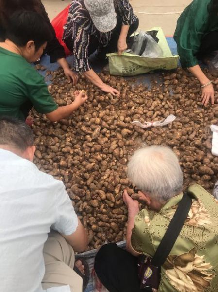 磨芋头图片大全_芋头怎么磨才细腻-第3张图片-山城妙识 磨芋头图片大全_芋头怎么磨才细腻-第3张图片-山城妙识