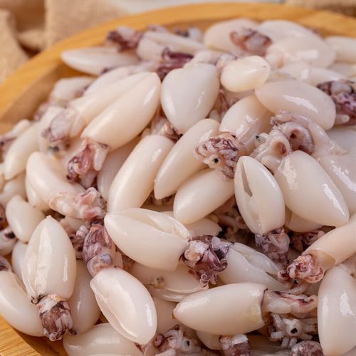 冰冻乌贼鱼怎么做好吃_冰冻乌贼鱼的做法大全-第3张图片-山城妙识