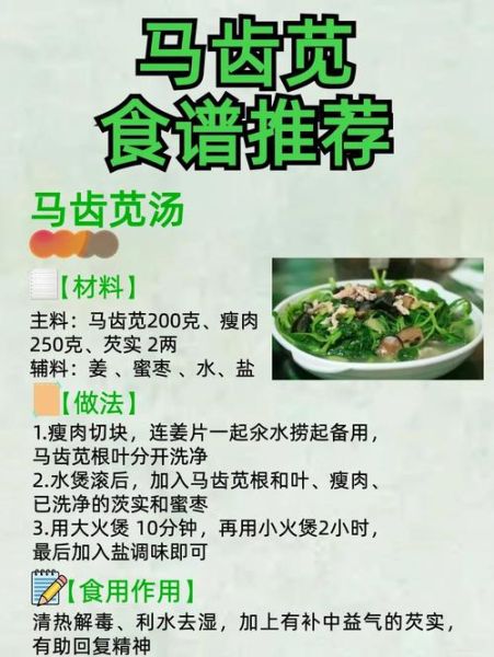 马齿菜的功效与作用及禁忌_马齿菜怎么吃最好-第1张图片-山城妙识