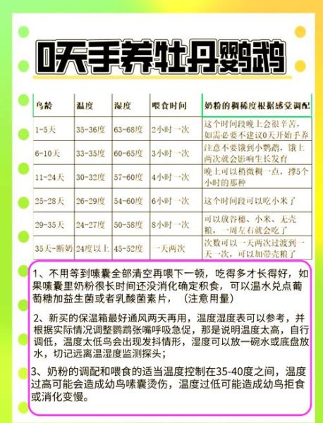 牡丹鹦鹉繁殖技巧_牡丹鹦鹉多久下一次蛋-第3张图片-山城妙识