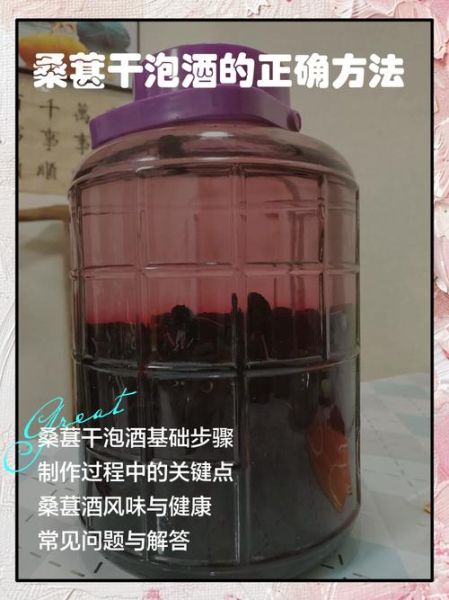 桑葚干泡酒比例是多少_桑葚干泡酒用什么酒好-第3张图片-山城妙识 桑葚干泡酒比例是多少_桑葚干泡酒用什么酒好-第3张图片-山城妙识