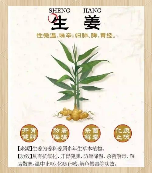 哪些人不能吃生姜_生姜禁忌人群有哪些-第3张图片-山城妙识