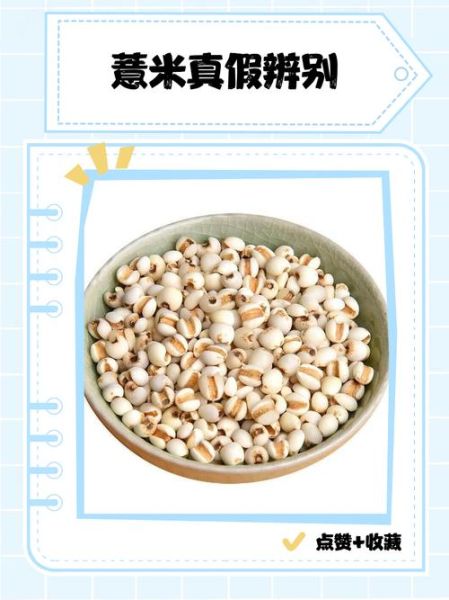 薏米和薏仁的区别_薏米和薏仁一样吗-第3张图片-山城妙识 薏米和薏仁的区别_薏米和薏仁一样吗-第3张图片-山城妙识