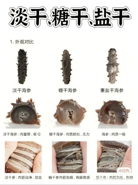 干海参多少钱一斤_如何挑选优质干海参-第2张图片-山城妙识