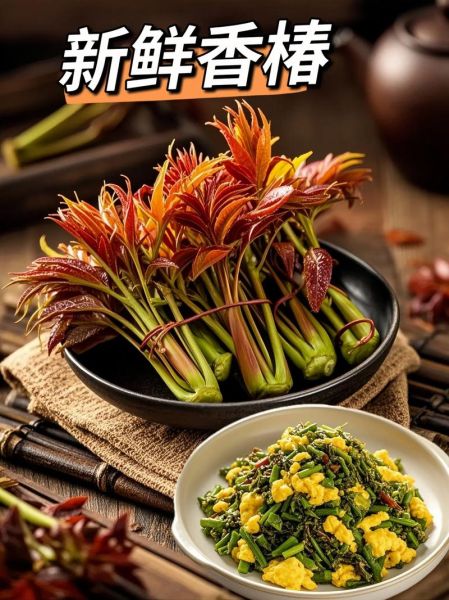 香椿是什么东西_香椿怎么吃才安全-第2张图片-山城妙识