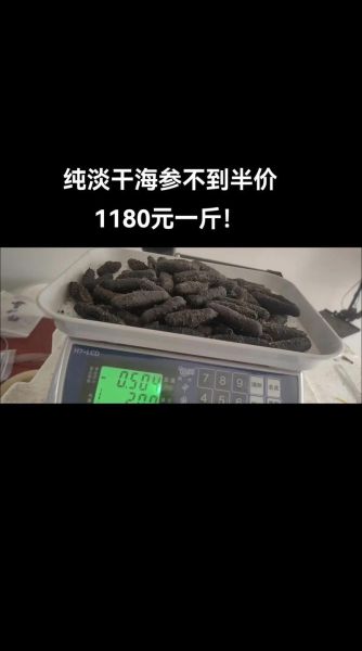 干海参多少钱一斤_如何挑选优质干海参-第3张图片-山城妙识