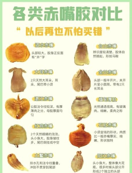 食用明胶的作用与功效_明胶对身体有害吗-第2张图片-山城妙识