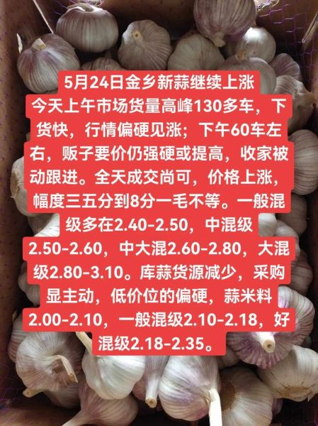 金乡大蒜最新价格是多少_2024年行情还会涨吗-第2张图片-山城妙识