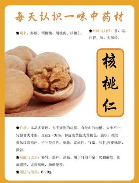 吃核桃仁有什么好处_长期吃核桃仁的好处-第1张图片-山城妙识 吃核桃仁有什么好处_长期吃核桃仁的好处-第1张图片-山城妙识