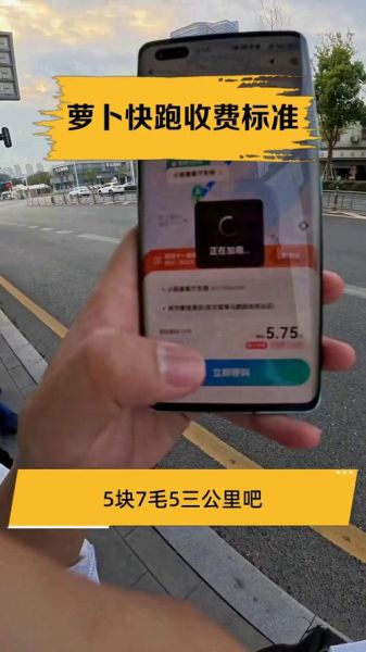 萝卜快跑是什么_萝卜快跑收费标准-第3张图片-山城妙识