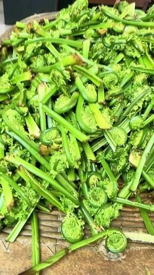 广东菜野菜的做法大全_有哪些家常做法-第2张图片-山城妙识 广东菜野菜的做法大全_有哪些家常做法-第2张图片-山城妙识