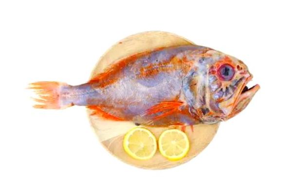 长寿鱼吃了有什么危害_长寿鱼副作用有哪些-第2张图片-山城妙识