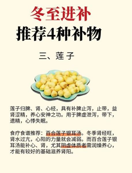 冬至吃什么最补_冬至进补食材推荐-第1张图片-山城妙识