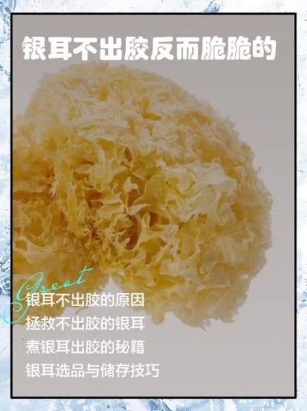 银耳出胶最好的方法_为什么不出胶-第1张图片-山城妙识