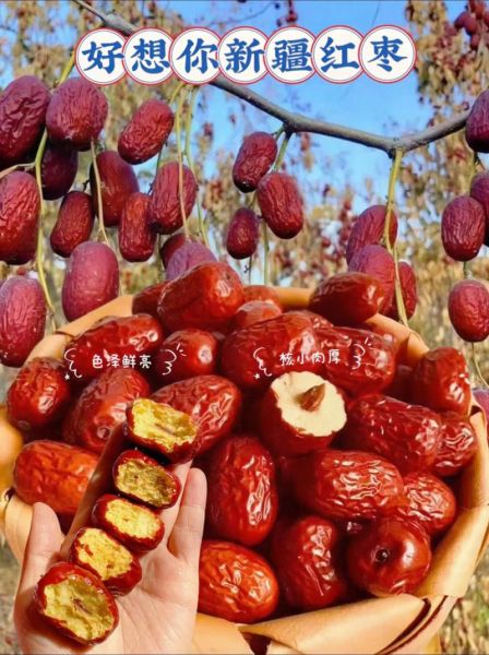 红枣图片大全大图唯美_红枣高清壁纸怎么选-第1张图片-山城妙识