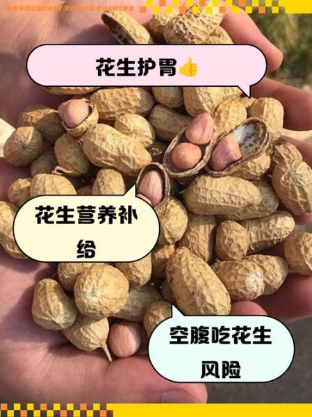 每天吃生花生米有什么好处_生花生米一天吃多少粒合适-第2张图片-山城妙识