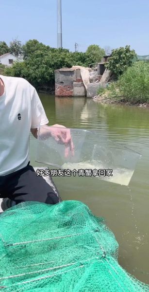 青蟹怎么杀死它_青蟹杀前怎么处理-第2张图片-山城妙识