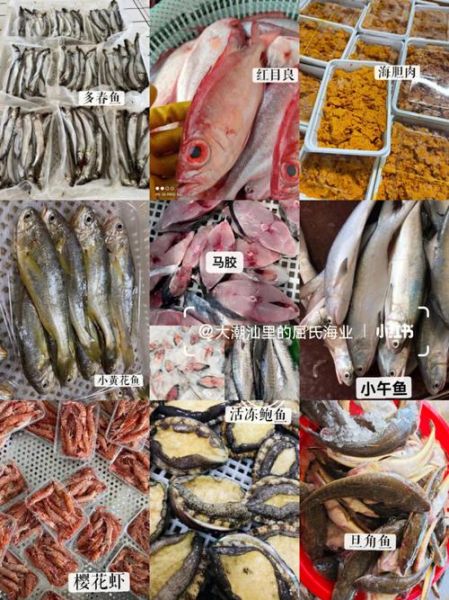 潮汕海鱼种类大全_潮汕常见海鱼名称及图片-第1张图片-山城妙识