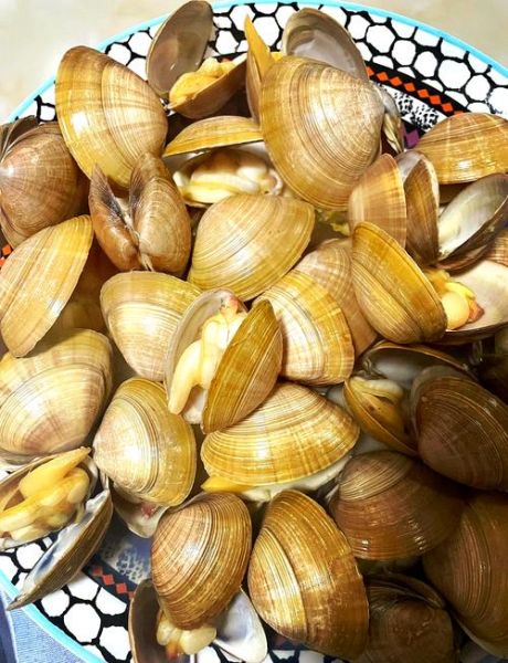 蚬子怎么快速吐沙子_蚬子吐沙最快的方法-第3张图片-山城妙识 蚬子怎么快速吐沙子_蚬子吐沙最快的方法-第3张图片-山城妙识