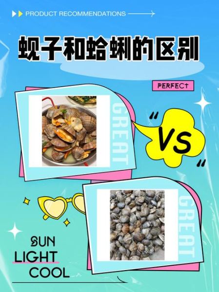 白蚬子和花蛤的区别_哪个更鲜美-第1张图片-山城妙识 白蚬子和花蛤的区别_哪个更鲜美-第1张图片-山城妙识