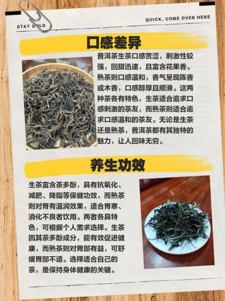 普洱茶生茶和熟茶的功效区别_生茶熟茶哪个更适合你-第2张图片-山城妙识