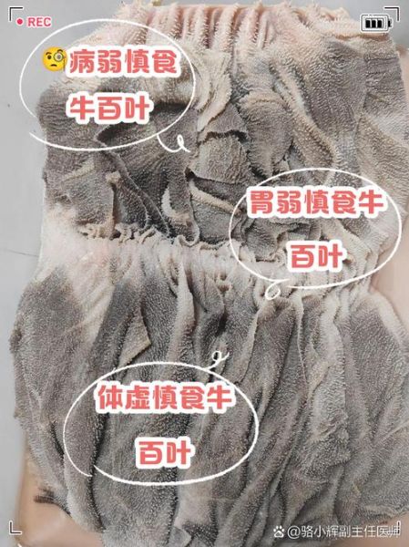 牛肚和牛百叶哪个贵_价格差异原因-第1张图片-山城妙识