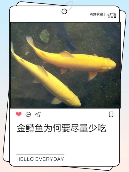 金鳟鱼生鱼片能吃吗_金鳟鱼刺身安全吗-第2张图片-山城妙识