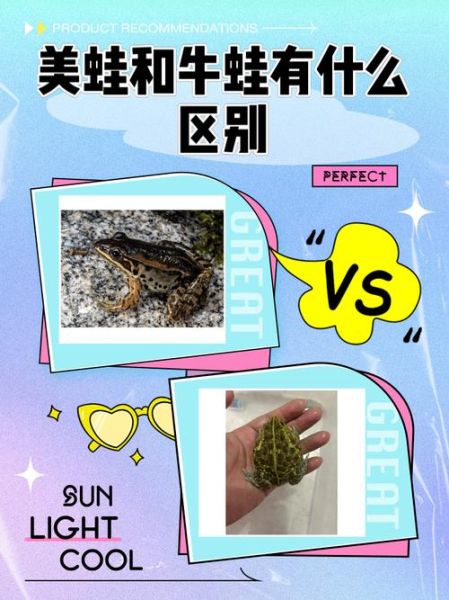 牛蛙君和快泳蛙的区别_牛蛙君和快泳蛙哪个强-第1张图片-山城妙识 牛蛙君和快泳蛙的区别_牛蛙君和快泳蛙哪个强-第1张图片-山城妙识