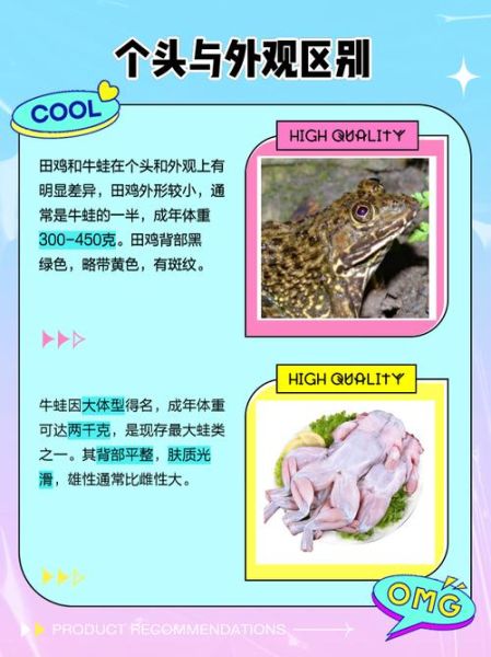 牛蛙君和快泳蛙的区别_牛蛙君和快泳蛙哪个强-第3张图片-山城妙识 牛蛙君和快泳蛙的区别_牛蛙君和快泳蛙哪个强-第3张图片-山城妙识