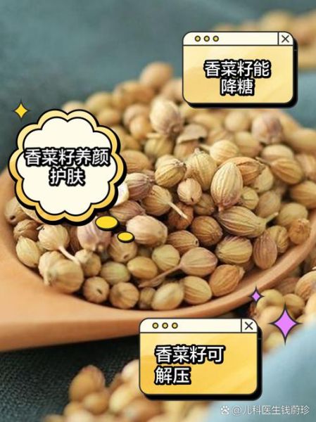 香菜籽怎么吃_香菜籽的功效与作用-第1张图片-山城妙识