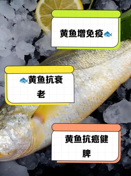 黄花鱼的营养价值_黄花鱼适合什么人吃-第2张图片-山城妙识 黄花鱼的营养价值_黄花鱼适合什么人吃-第2张图片-山城妙识