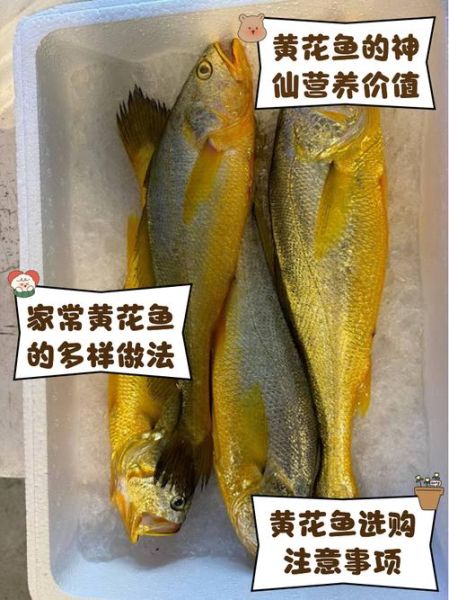 黄花鱼的营养价值_黄花鱼适合什么人吃-第3张图片-山城妙识 黄花鱼的营养价值_黄花鱼适合什么人吃-第3张图片-山城妙识