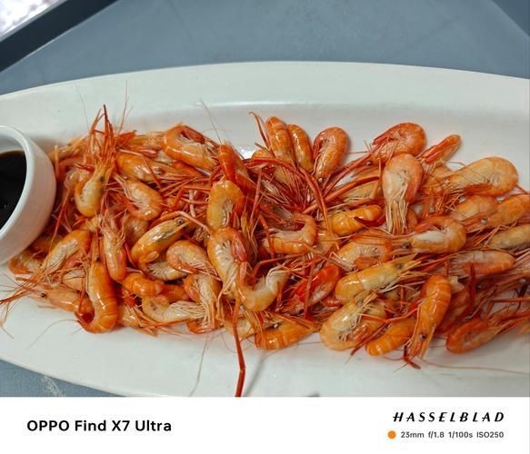 白水煮河虾怎么做_白水煮河虾需要焯水吗-第3张图片-山城妙识 白水煮河虾怎么做_白水煮河虾需要焯水吗-第3张图片-山城妙识