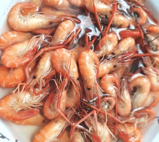 白水煮河虾怎么做_白水煮河虾需要焯水吗-第2张图片-山城妙识 白水煮河虾怎么做_白水煮河虾需要焯水吗-第2张图片-山城妙识