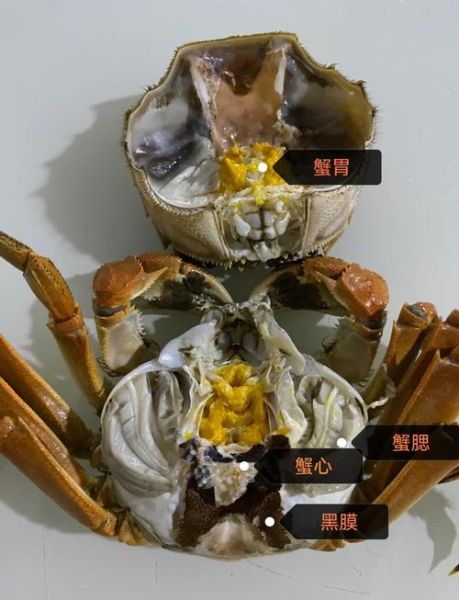 大闸蟹哪里不能吃_哪些部位必须去掉-第1张图片-山城妙识