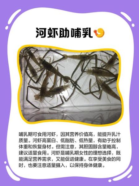 孕妇能吃海虾吗_孕妇吃海虾的注意事项-第1张图片-山城妙识