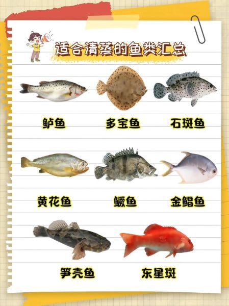 哪些鱼适合清蒸_清蒸鱼用什么鱼最好吃-第2张图片-山城妙识
