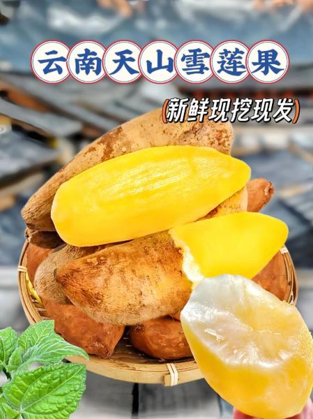 天山雪莲果多少钱一斤_天山雪莲果价格行情-第2张图片-山城妙识